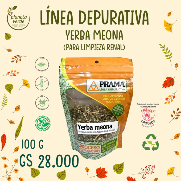 Té de Yerba Meona (Para desintoxicar riñones) - Planeta Verde