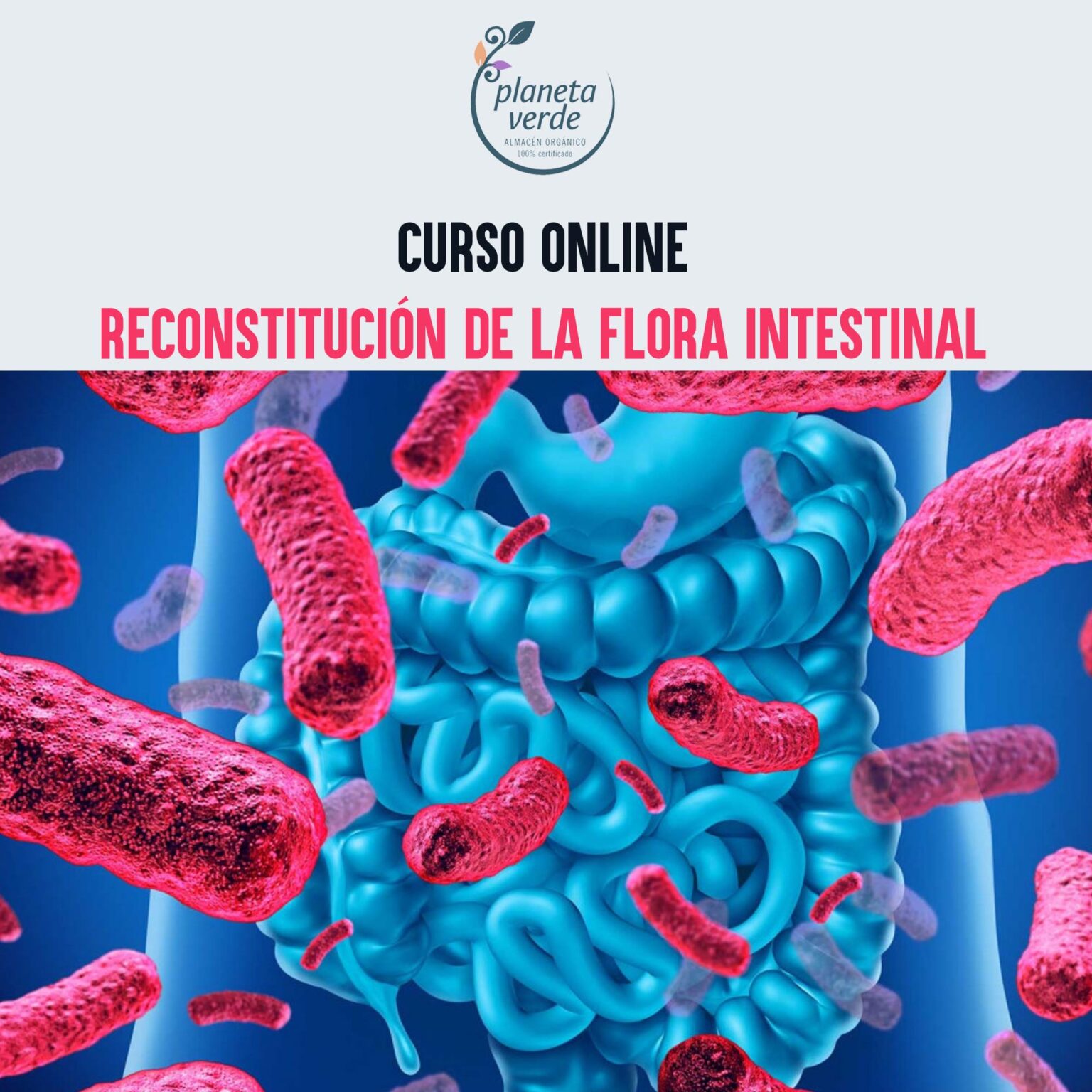 Curso: Reconstitución de la Flora Intestinal - Planeta Verde