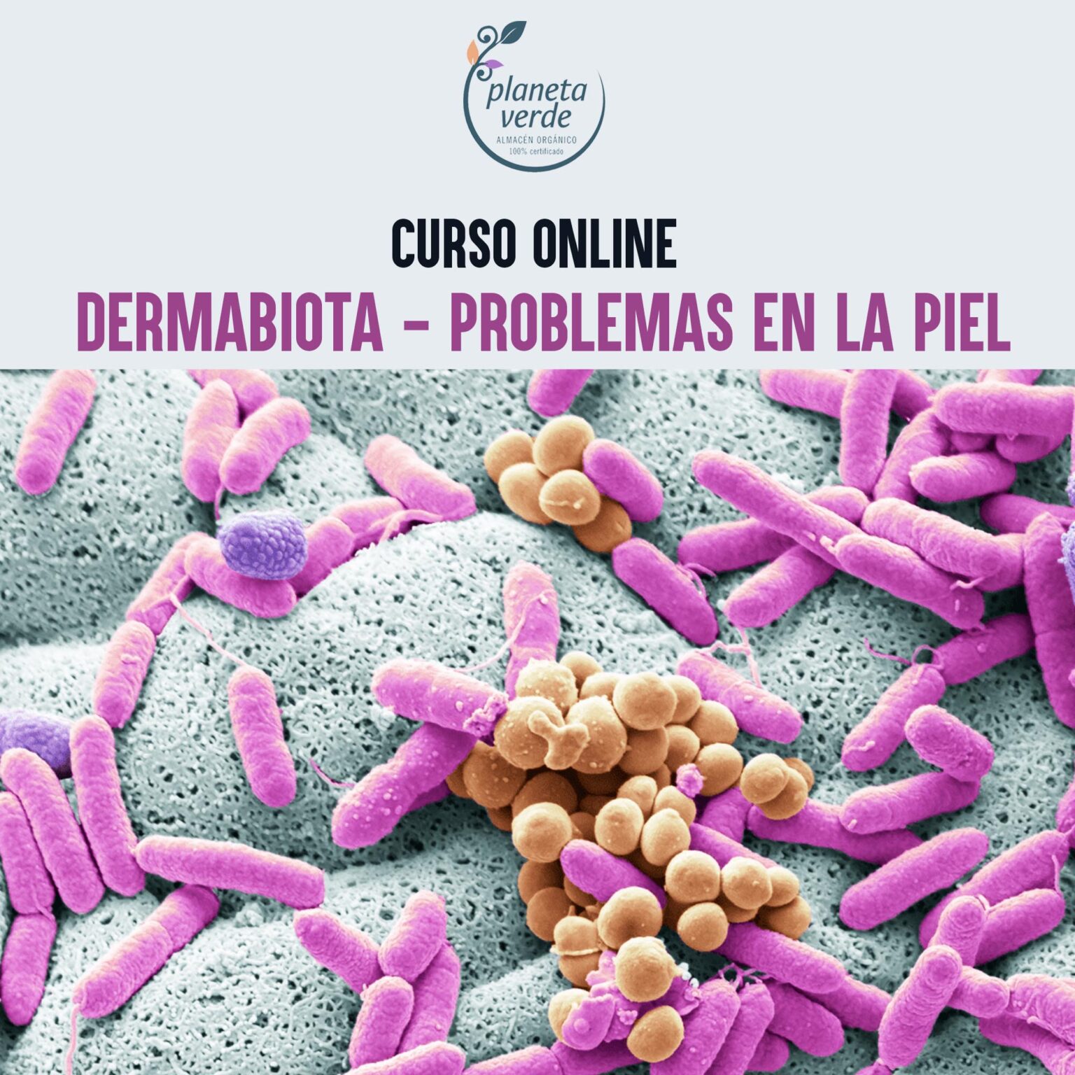 Cursos Online: Dermabiota - Los Problemas en la Piel - Planeta Verde